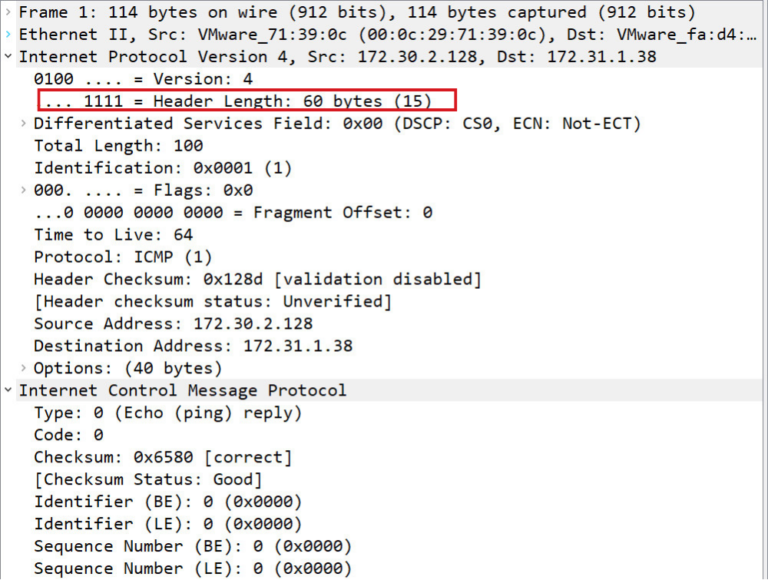 Critical Ping Vulnerability Allows to Trigger Denial of Service in ...
